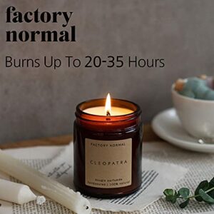 Cafe Au Lait Coffee Scented Soy Candles, Factory Normal Handmade Amber Jar Candle, 8oz, 20-35 Hour Burn Time