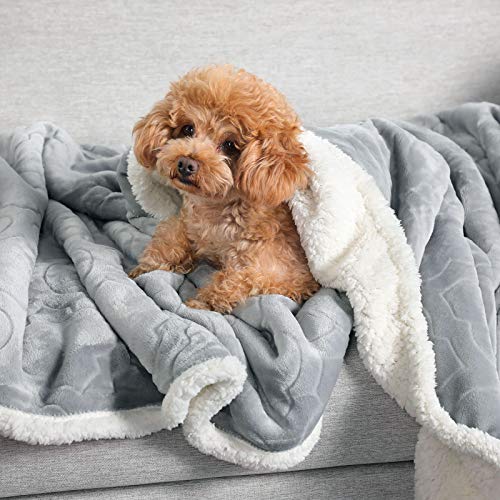 S ag ino Sherpa Fleece Throw Blanket Reversible Flannel Blankets Soft Fuzzy Cozy Thick Winter Blankets for All Seasons for Bed Couch Sofa (Grey, Twin (60"x80"))