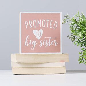 hanna roberts toddler kids sibling reveal box sign, 5.9″ x 5.9″ (promoted to big sister)