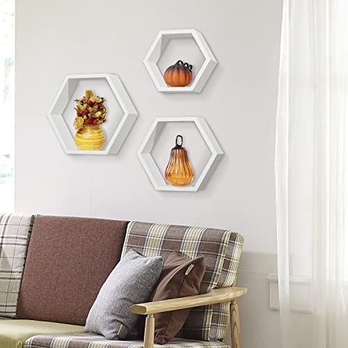 ZGZD White Floating Shelves Hexagon Wall Organizers Display Hanging Shelf for Room, Kitchen, Office, Set of 3