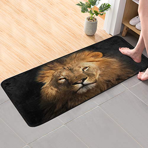 CaTaKu Animal Lion Area Rug 39x20 Inches Polyester , Scary Lion Area Rug Floor Rug Runner Washable Carpet Mat for Kitchen Dinning Room Home Decorative