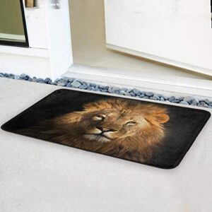 CaTaKu Animal Lion Area Rug 39x20 Inches Polyester , Scary Lion Area Rug Floor Rug Runner Washable Carpet Mat for Kitchen Dinning Room Home Decorative