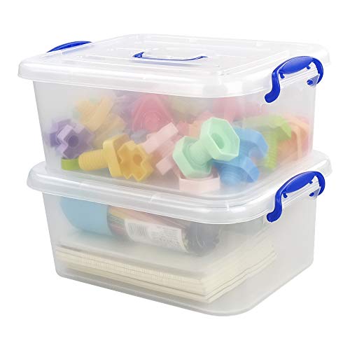 Leendines 8 Liter Clear Plastic Storage Bins, 2 Packs Storage Boxes with Lids