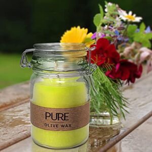 HYOOLA Pure Natural Jar Candles - 100% Olive Wax Candles in Glass - Paraffin Free Vegan Candle - Lime Green