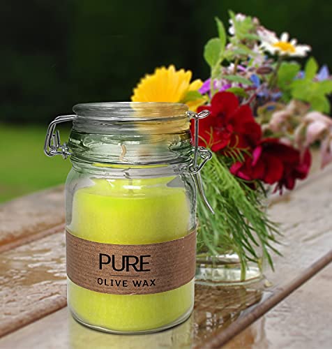 HYOOLA Pure Natural Jar Candles - 100% Olive Wax Candles in Glass - Paraffin Free Vegan Candle - Lime Green