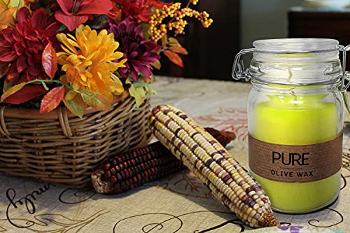 HYOOLA Pure Natural Jar Candles - 100% Olive Wax Candles in Glass - Paraffin Free Vegan Candle - Lime Green