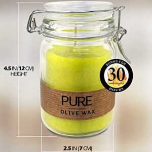 HYOOLA Pure Natural Jar Candles - 100% Olive Wax Candles in Glass - Paraffin Free Vegan Candle - Lime Green