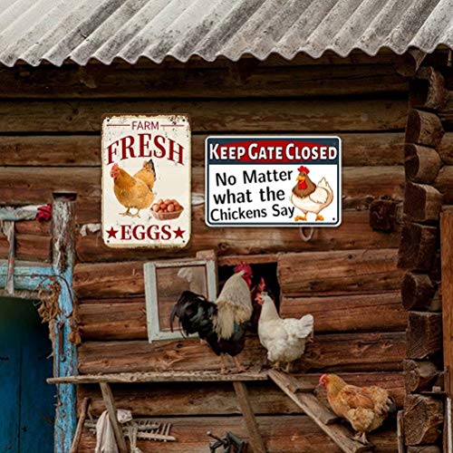 ANJOOY Metal Tin Signs - Farm Fresh Eggs - Chicken Funny Kitchen Farmhouse Store Market Country Farm Barn Supermarket Outdoor Wall Decor Art 8"x12"