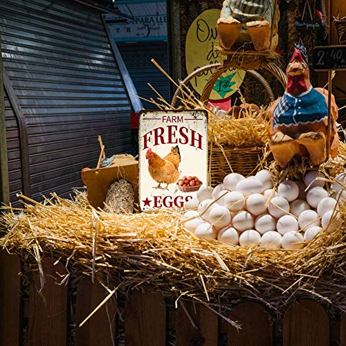 ANJOOY Metal Tin Signs - Farm Fresh Eggs - Chicken Funny Kitchen Farmhouse Store Market Country Farm Barn Supermarket Outdoor Wall Decor Art 8"x12"