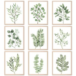 tevxj 9pcs botanical plant wall art prints green plant wall decor boho herb wall decor pictures minimalist wall art photo prints for living room kitchen leaves (8″x10″, unframed)