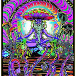 Studio B The Shroomer Mushroom Flockless UV Black Light Blacklight Trippy Poster 24x36 Inches