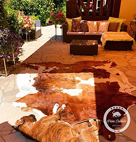 Cowhide Rug Tricolor Genuine Hair on Hide Size: X-Large (6ft x 7,5ft) (180cm x 225cm)