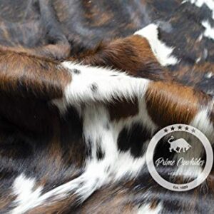 Cowhide Rug Tricolor Genuine Hair on Hide Size: X-Large (6ft x 7,5ft) (180cm x 225cm)