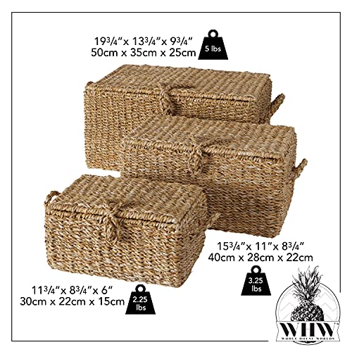 Cape Cod Wicker Trunks, Set of 3, Chunky Weave, Woven Seagrass, Carry Handles, Attached Lid With Loop Over Closure, Storage and Blanket Chests, 19.75 Inches, 15.75 Inches, and 11.75 Inches