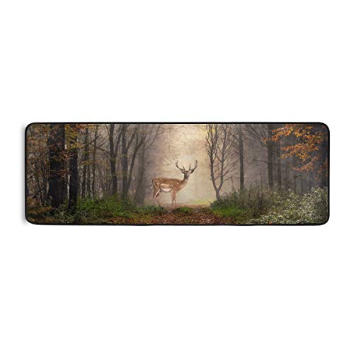 ALAZA Fallow Deer Dreamy Misty Forest Runner Area Rug Non Slip Floor Mat for Hallway Entryway Living Room Bedroom Dorm Home Decor 72x24 inches