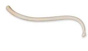 north georgia still company, raccoon baculum bone”coon dick”