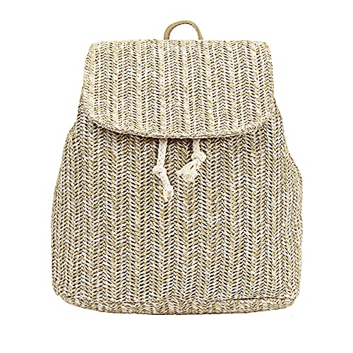 Felice Ann Women Medium Straw Woven Backpack Flap Drawstring Daypack