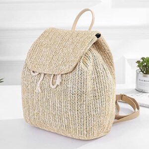 Felice Ann Women Medium Straw Woven Backpack Flap Drawstring Daypack