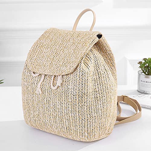 Felice Ann Women Medium Straw Woven Backpack Flap Drawstring Daypack