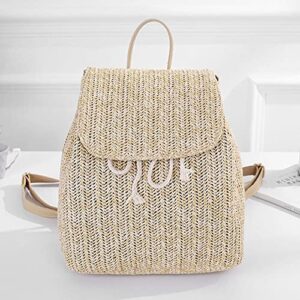 Felice Ann Women Medium Straw Woven Backpack Flap Drawstring Daypack