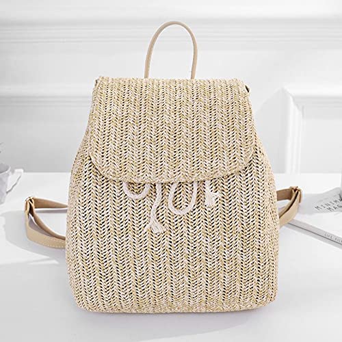 Felice Ann Women Medium Straw Woven Backpack Flap Drawstring Daypack