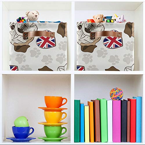 susiyo Large Foldable Storage Bin English Bulldog Fabric Storage Baskets Collapsible Decorative Baskets Organizing Basket Bin with PU Handles for Shelves Home Closet Bedroom Living Room-2Packs