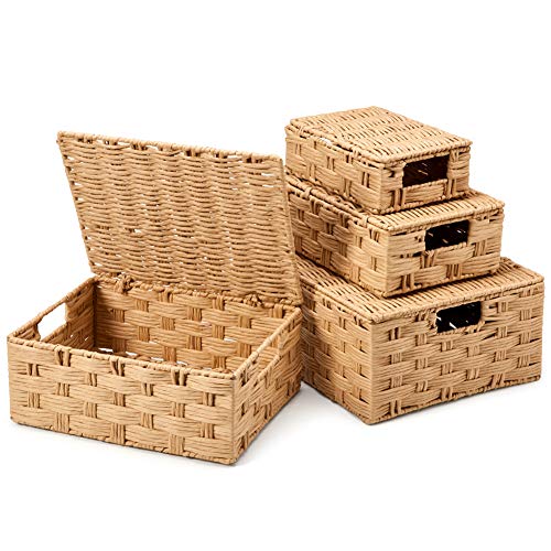 EZOWare Set of 4 Woven Stackable Storage Baskets with Lid, Decorative Paper Rope Organizer Nesting Bin with Handles - 4 Sizes, Beige