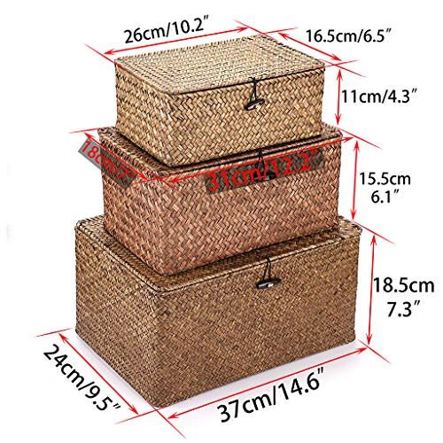 Hipiwe Set of 3 Natural Seagrass Storage Baskets with Lid - Large Handwoven Wicker Storage Bins Rectangular Household Organizer Boxes Shelf Wardrobe Organizer, Coffee