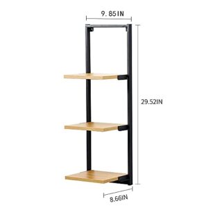 TOYLNGA Modern Book Shelves for Storage,3 Tier Industrial Bookcases,Wall Mounted Hanging Shelf,Display Racks for Craft Shows,Shelving for Living Room,Office Storage and Organization (Black)