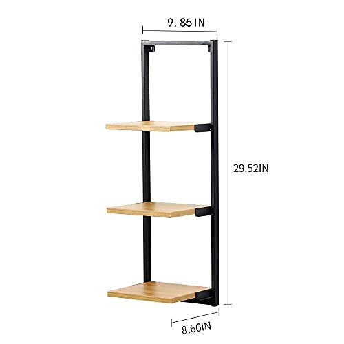 TOYLNGA Modern Book Shelves for Storage,3 Tier Industrial Bookcases,Wall Mounted Hanging Shelf,Display Racks for Craft Shows,Shelving for Living Room,Office Storage and Organization (Black)