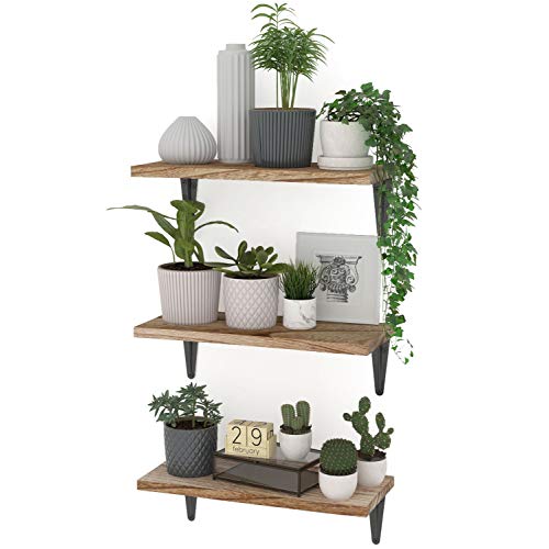 Wallniture Arras Rustic Wood Floating Shelves for Wall Storage, Wall Shelves for Living Room, Burnt Finish Plant Shelf Set of 3