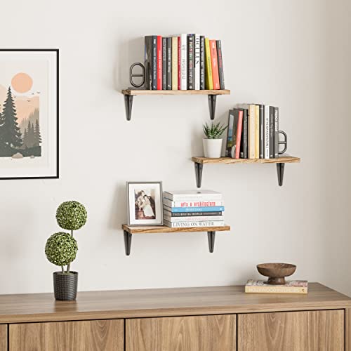 Wallniture Arras Rustic Wood Floating Shelves for Wall Storage, Wall Shelves for Living Room, Burnt Finish Plant Shelf Set of 3