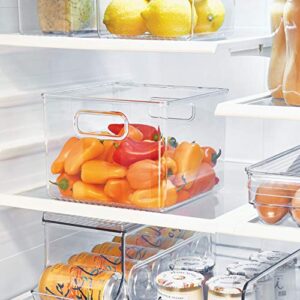 iDesign Plastic Fridge and Freezer Organizer Bin with Integrated Handles – 10” x 5” x 6”, Clear & Plastic Fridge and Pantry Organizer Bin with Integrated Handles – 8” x 8” x 6”, Clear