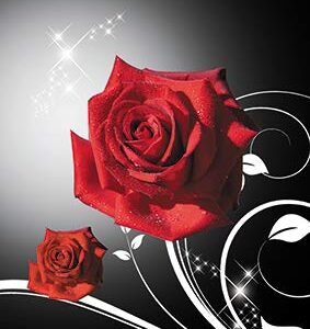 Unframed Modern Art Black and White Wall Romantic Red Rose Flower Poster Art Painting Set of 3 (“ 8x10”Canvas Picture) Girl Bedroom Spa Bathroom Art Prints Living Bedroom Corridor Kitchen Home Decor