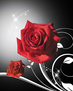 Unframed Modern Art Black and White Wall Romantic Red Rose Flower Poster Art Painting Set of 3 (“ 8x10”Canvas Picture) Girl Bedroom Spa Bathroom Art Prints Living Bedroom Corridor Kitchen Home Decor