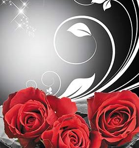 Unframed Modern Art Black and White Wall Romantic Red Rose Flower Poster Art Painting Set of 3 (“ 8x10”Canvas Picture) Girl Bedroom Spa Bathroom Art Prints Living Bedroom Corridor Kitchen Home Decor