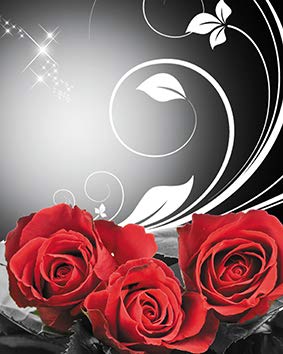 Unframed Modern Art Black and White Wall Romantic Red Rose Flower Poster Art Painting Set of 3 (“ 8x10”Canvas Picture) Girl Bedroom Spa Bathroom Art Prints Living Bedroom Corridor Kitchen Home Decor