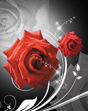 Unframed Modern Art Black and White Wall Romantic Red Rose Flower Poster Art Painting Set of 3 (“ 8x10”Canvas Picture) Girl Bedroom Spa Bathroom Art Prints Living Bedroom Corridor Kitchen Home Decor