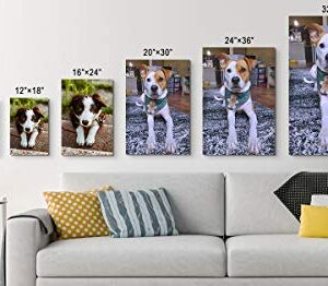 Laoife Custom Canvas Upload Images, Personalized Photo to Canvas Digitally Print Wall Art, Personalized Canvas Pictures for Kid Lover Pet Family, Canvas Framed（20x30 inch）