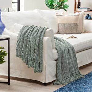 Chanasya Textured Knitted Super Soft Throw Blanket with Tassels - Warm Fluffy Cozy Plush Knit - for Couch Bed Sofa Living Room Framhouse Boho Sage Green Accent Decor (50x65 Inches) Tansage Blanket