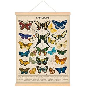 vintage papillons butterflies poster butterflies wall art prints rustic style of butterflies wall hanging for living room office classroom bedroom playroom dining room decor frame 15.7 x 19.7 inch