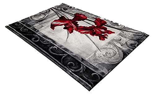 HT Design Rectangular Area Rug for Living Room, Floral Black and Red 7x10 Modern Rugs, Easy to Clean, Pet Friendly Indoor Carpet for Living Room