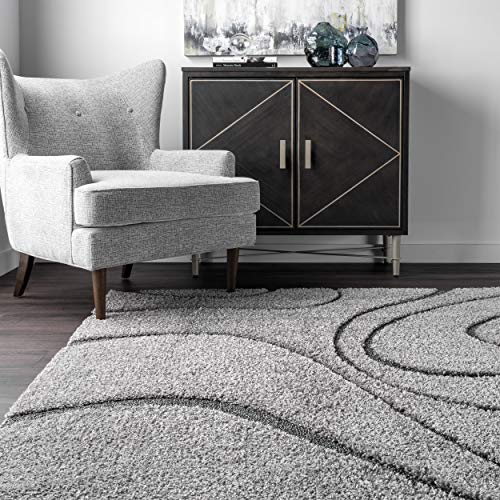 nuLOOM Carolyn Cozy Soft & Plush Shag Accent Rug, 2' x 3', Dark Grey