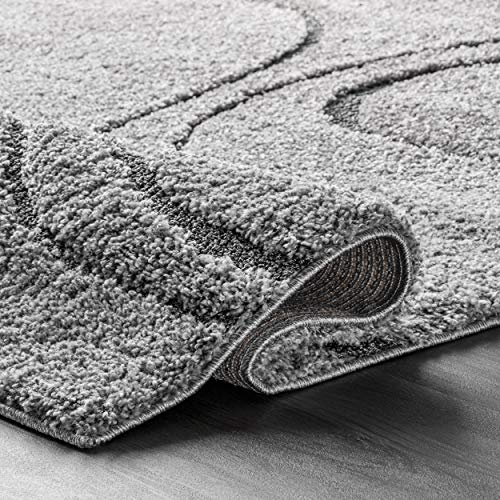 nuLOOM Carolyn Cozy Soft & Plush Shag Accent Rug, 2' x 3', Dark Grey