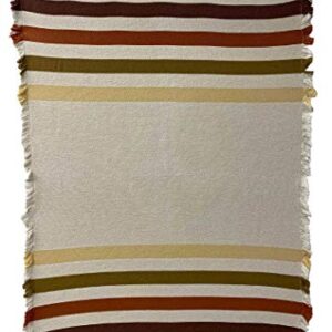 Pure Country Weavers Bent Creek Stripe Blanket - Patterns Gift Tapestry Throw Woven from Cotton - Made in The USA (73x48)