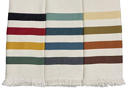 Pure Country Weavers Bent Creek Stripe Blanket - Patterns Gift Tapestry Throw Woven from Cotton - Made in The USA (73x48)