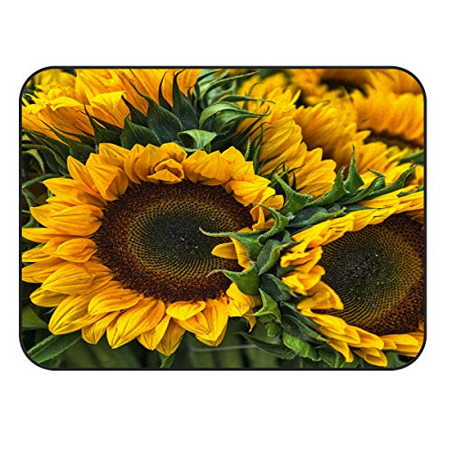 Large Area Rugs 4' x 6' Modern Throw Carpet Floor Cover Nursery Rugs for Children/Kids, Close-Up Sunflowers, Indoor/Outdoor Rugs for Living Room/Bedroom Floral Field Green Leaves