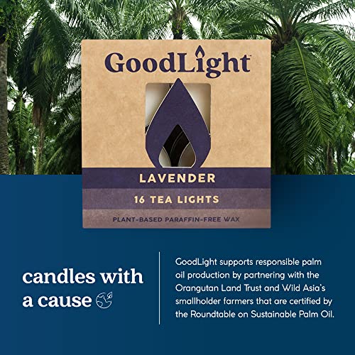 GOODLIGHT Lavender Tea Lights 16 Count, 16 CT