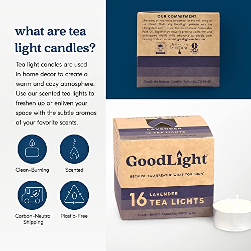 GOODLIGHT Lavender Tea Lights 16 Count, 16 CT