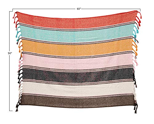 Creative Co-Op DF2410 60" L x 50" W Recycled Cotton Blend Striped Braided Fringe Throw, Multicolor